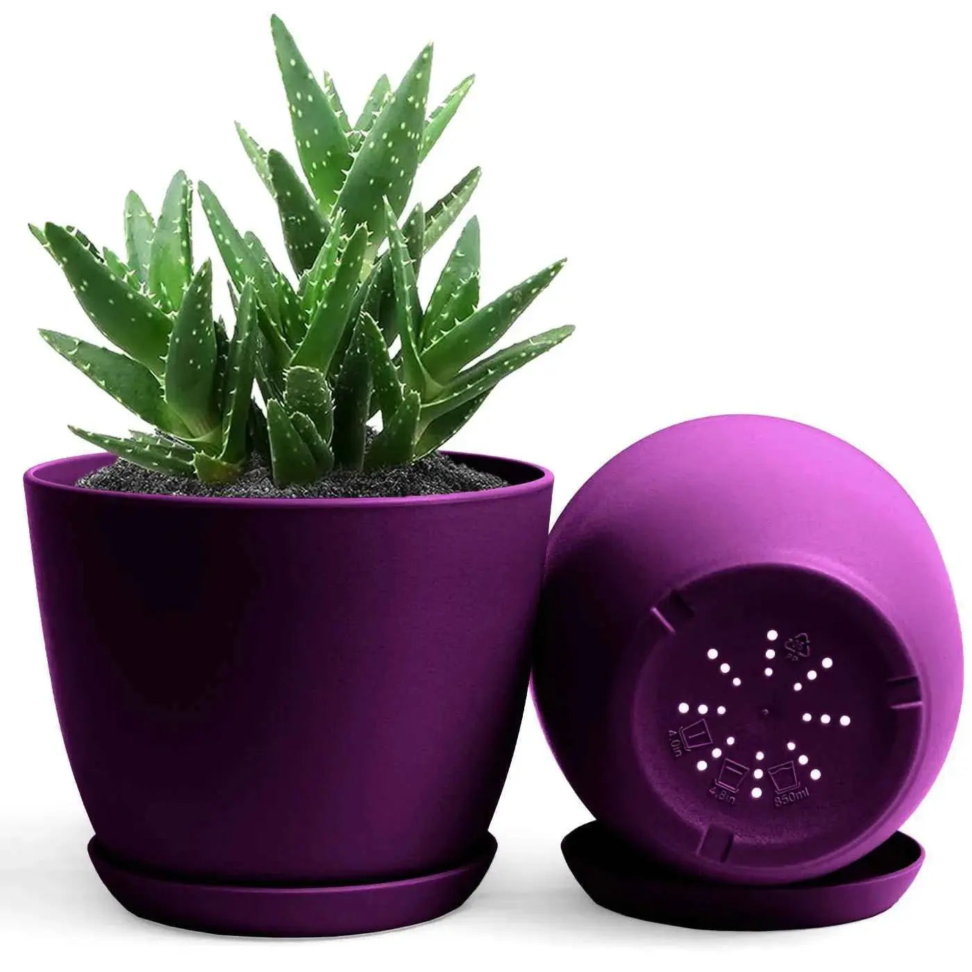 Plastic pot high quality exclusive at Shalamar Nurseries & Landscapers